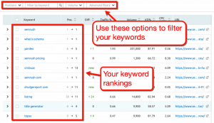 11 Best Google Keyword Rank Checkers (2025 Edition)