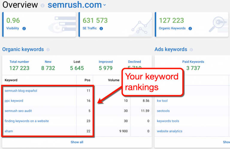 11 Best Google Keyword Rank Checkers (2025 Edition)