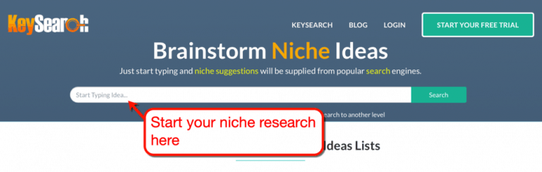 How To Choose A Perfect Blog Niche (100+ Niche Ideas)