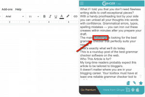 10 Best Grammar Checkers For Ultra-careful Writers (2023)