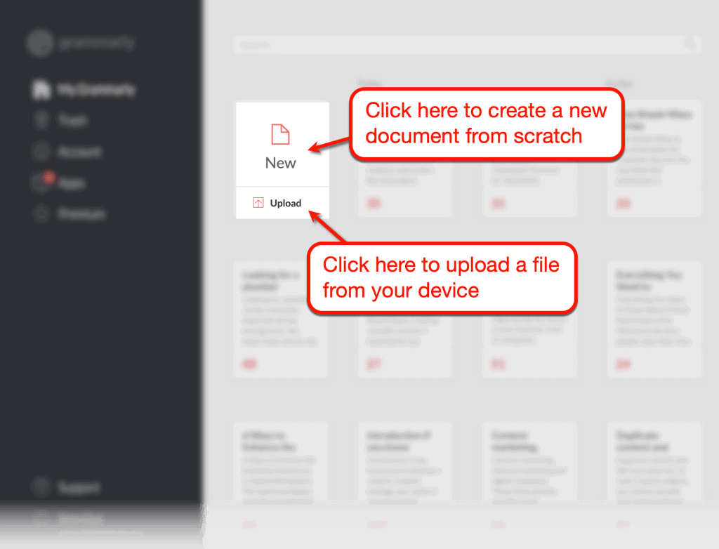 Is Grammarly the Best Grammar Checker? (17 Ques Answered!)